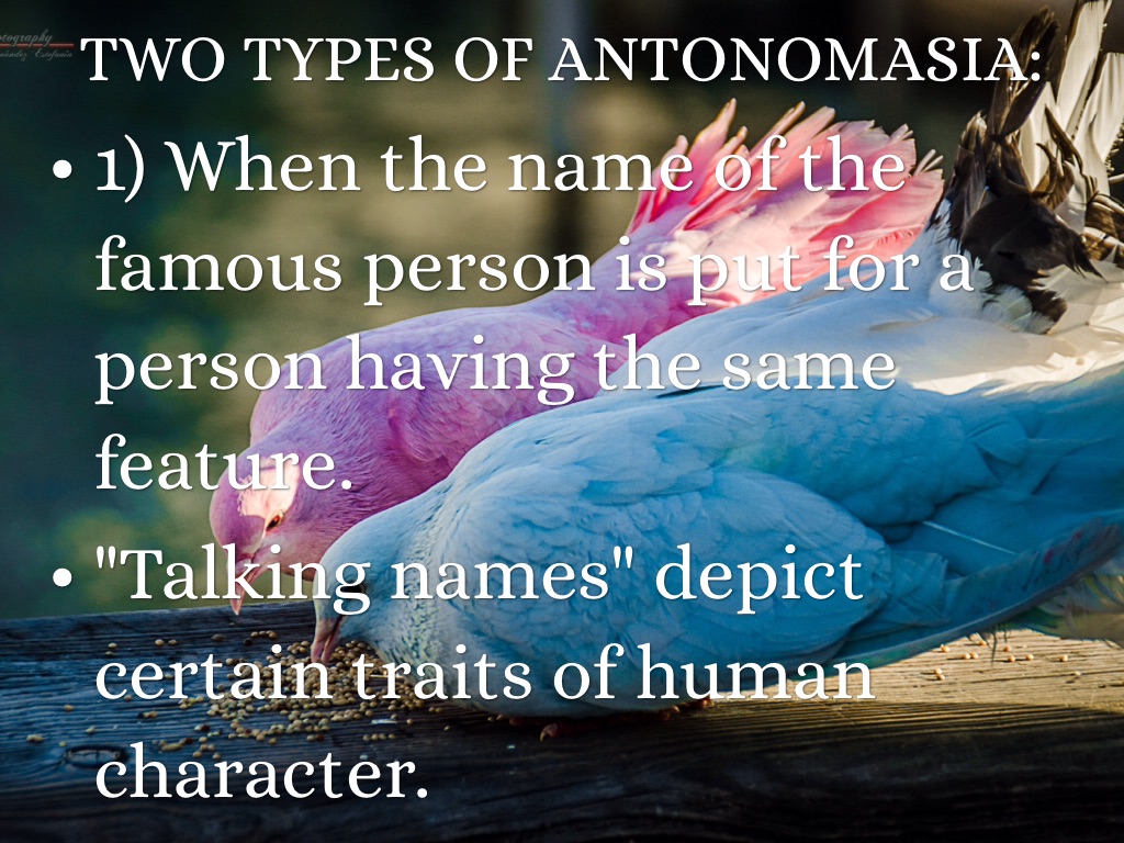 Title by Marina Negruts