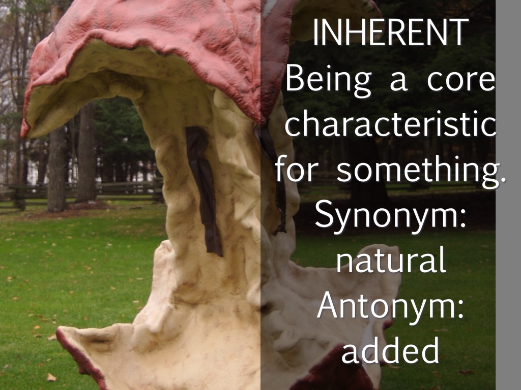 VOCABULARY IV by Faith Catherine