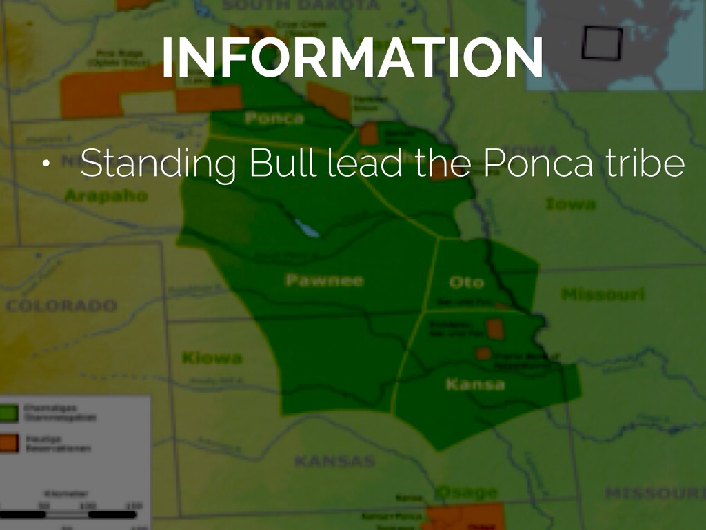 American history by Elaine Savage