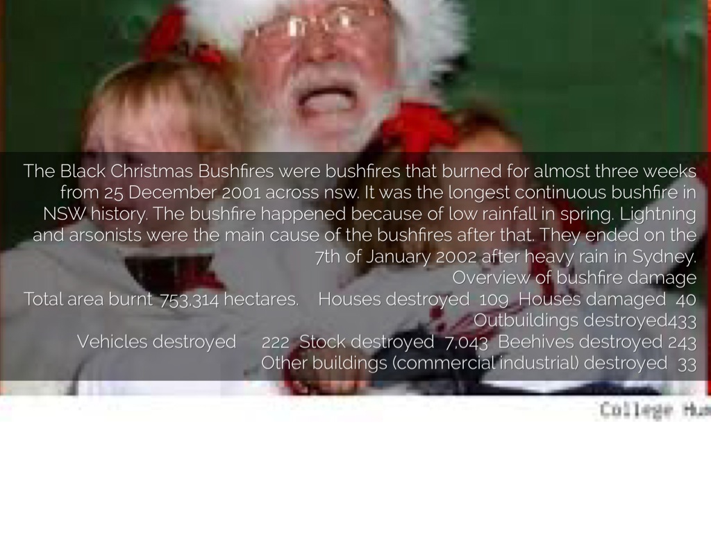 Black Christmas Bushfire by Laura Gardner