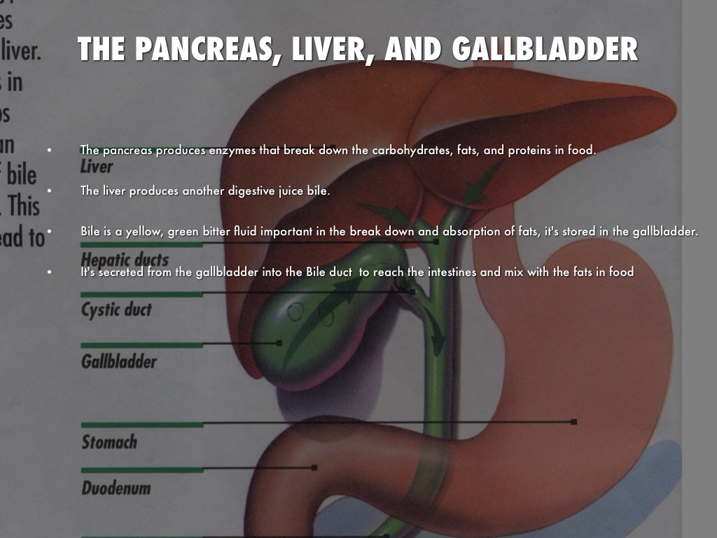 Chapter 17 Section 1 by jamiejeter9