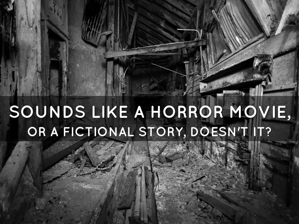 Remember: An Introduction To The Holocaust by Liz