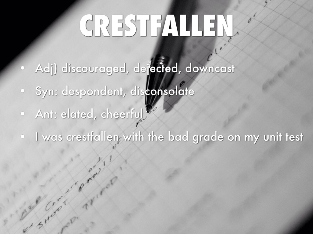 Unit 10 by Dakota Schaefer