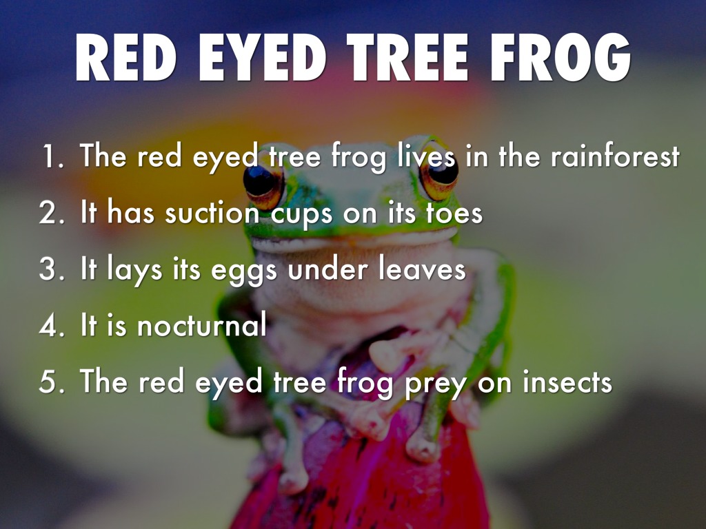 Erick Macias by Maria Ramirez