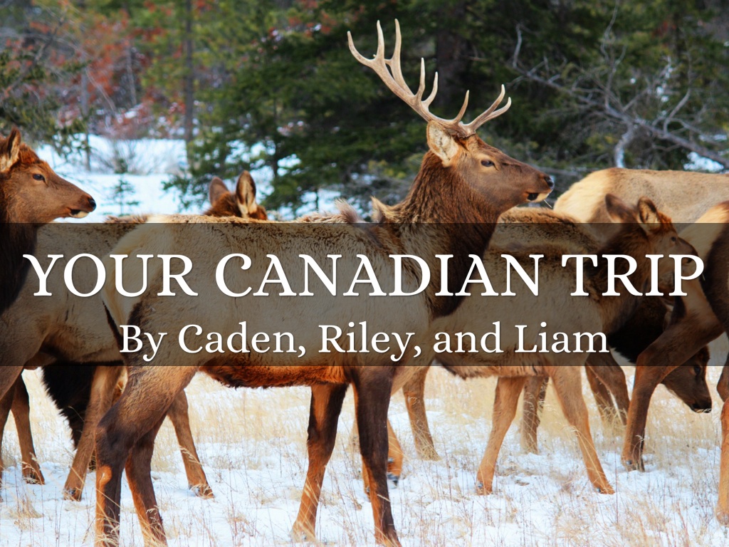 Canada trip by Riley Cronk