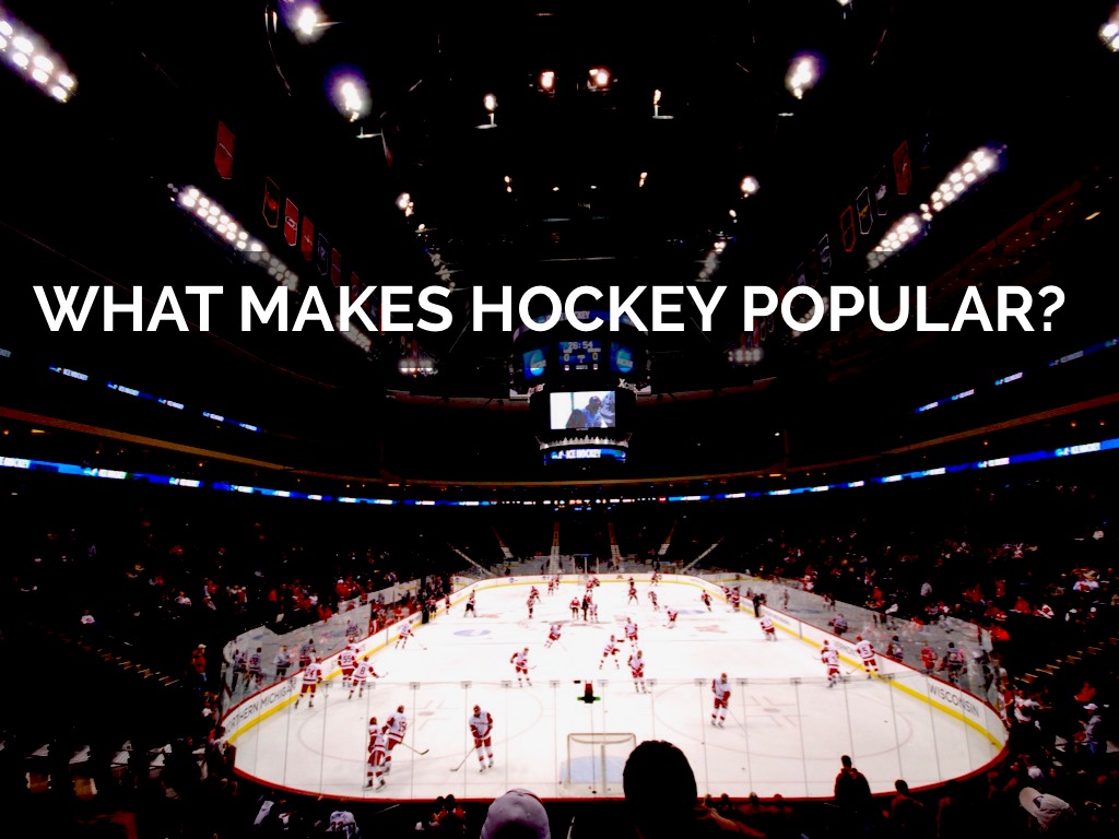 Research Project by 954580