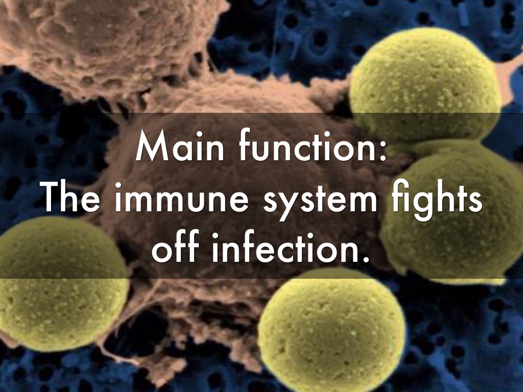 Immune System by Nick King