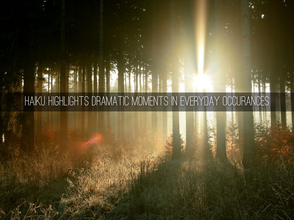 Intro by Megumi Yamamoto