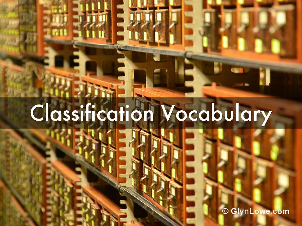 Classification Vocabulary by gabrielle.e.stout