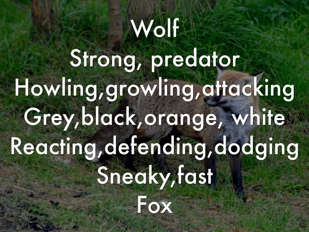 Poetry Portfolio by S V