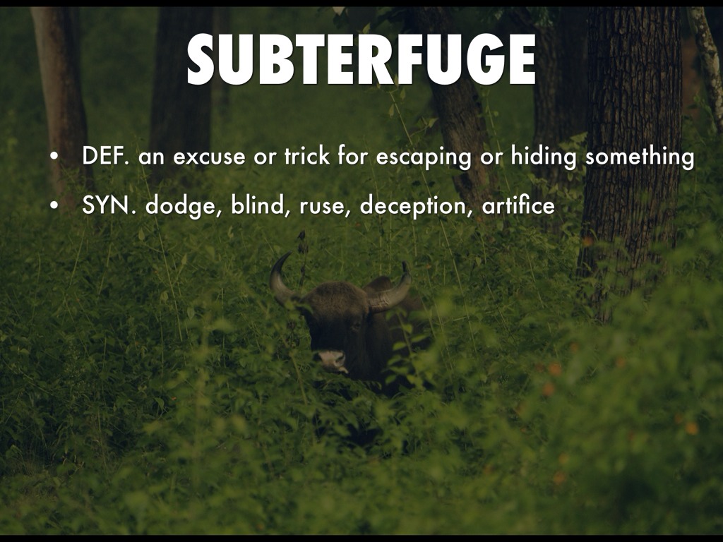 Unit 15 Vocab by Vinny Cancilla