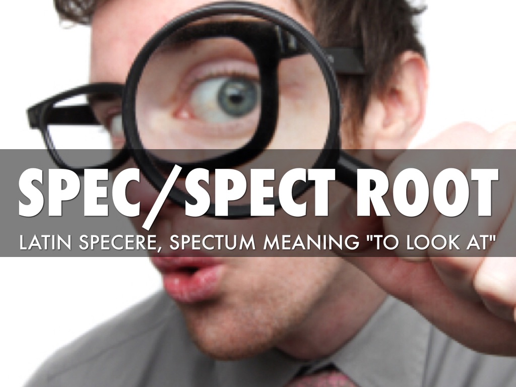 Unit 1 Greek And Latin Roots Study Guide by erazzak152