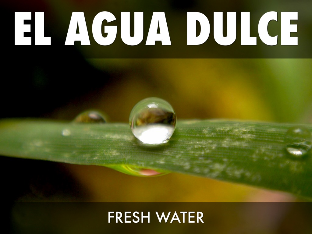 Spanish Vocabulary Unit 1 Lesson 1 by Connor Dryman