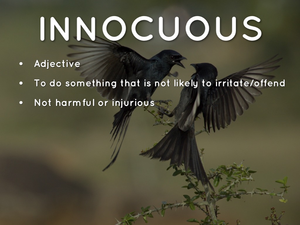 Vocab by Tatum Batchelder