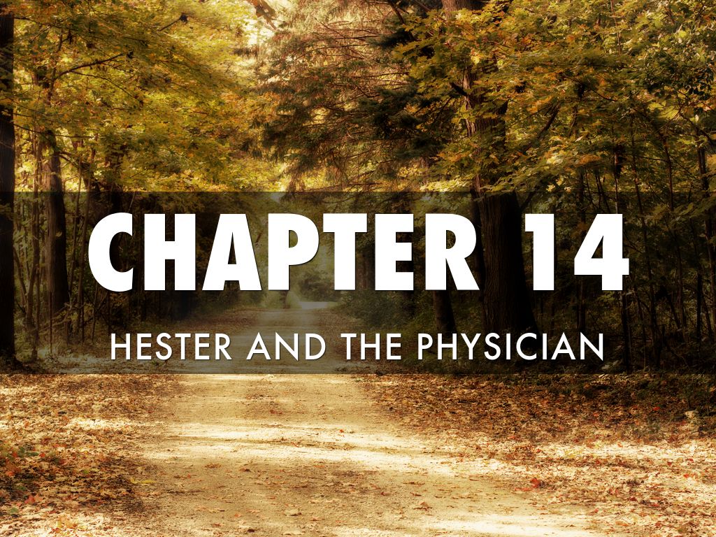 Scarlet Letter Ch. 13-14 by Alee Cotton