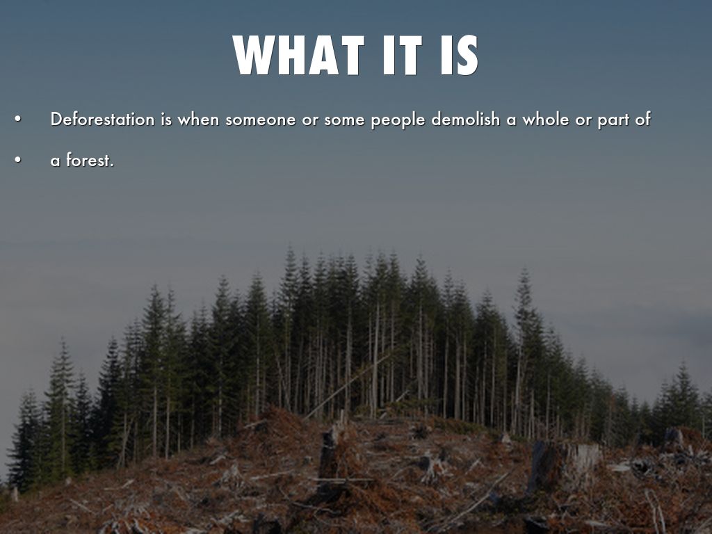 deforestation by jayanderson346