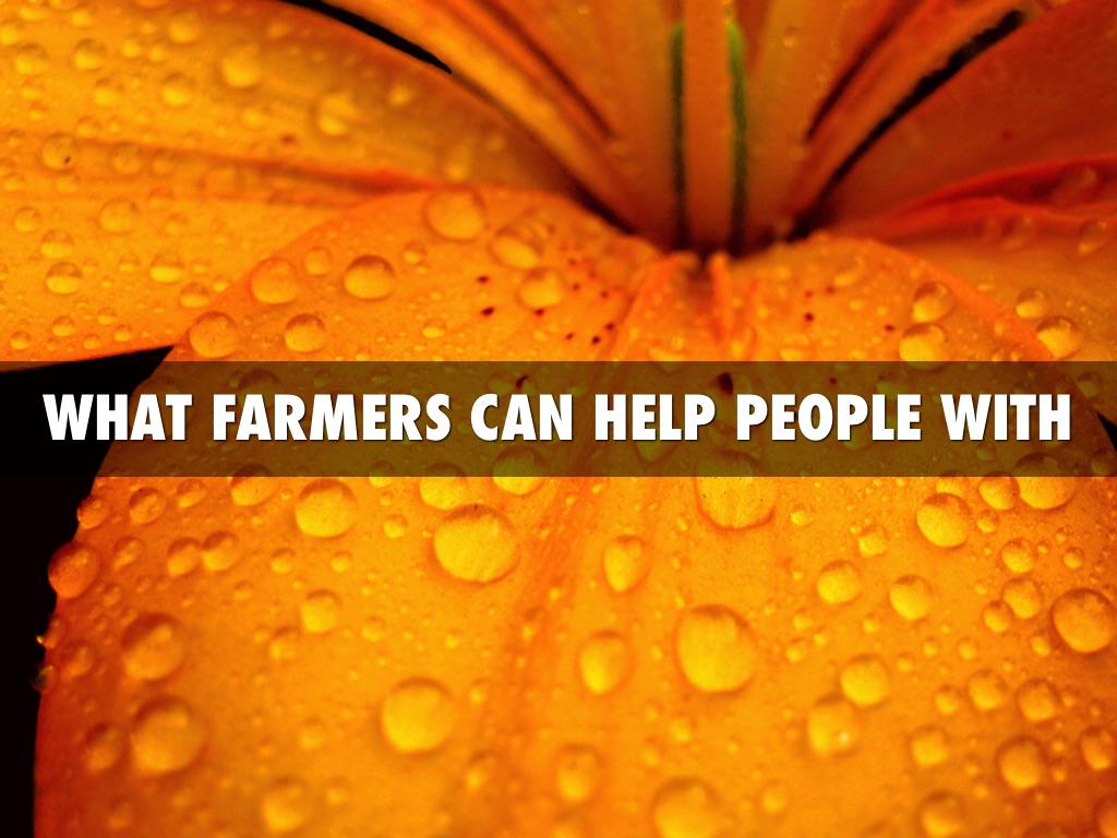 All About Farmers by 22_thomasangelina