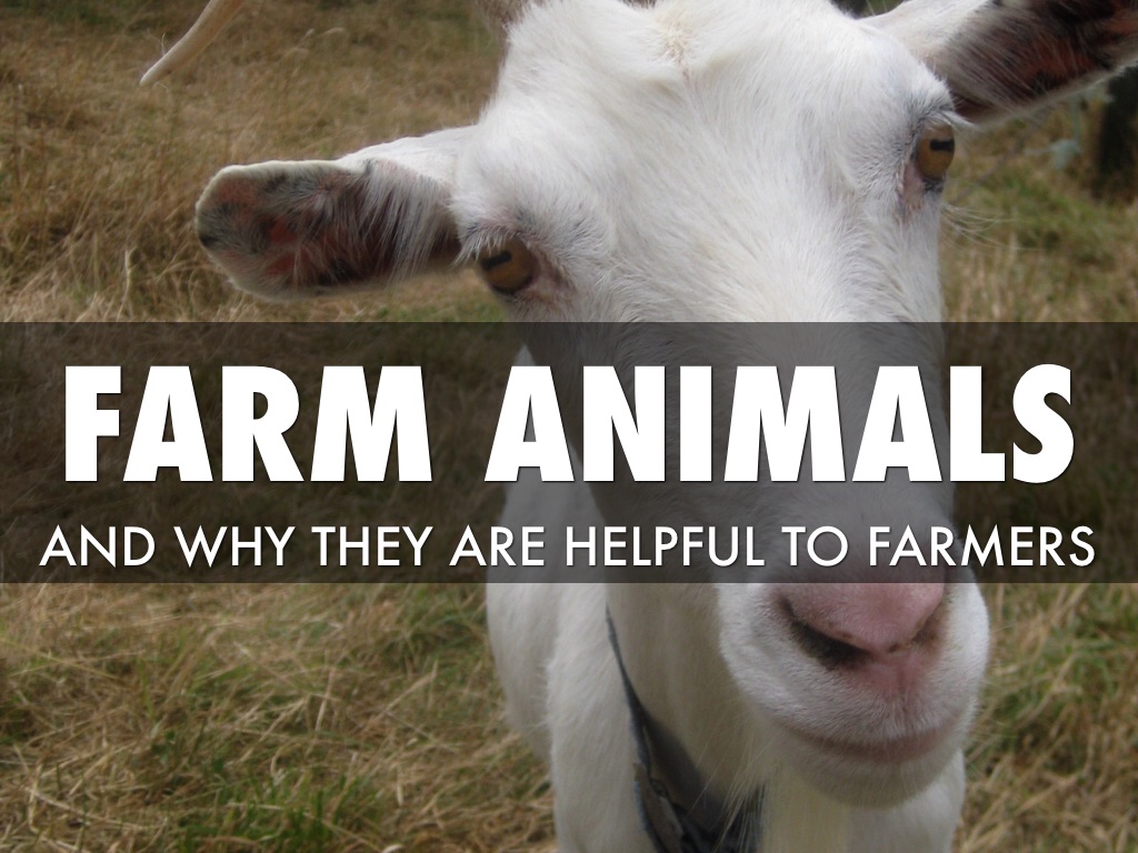 All About Farmers by 22_thomasangelina