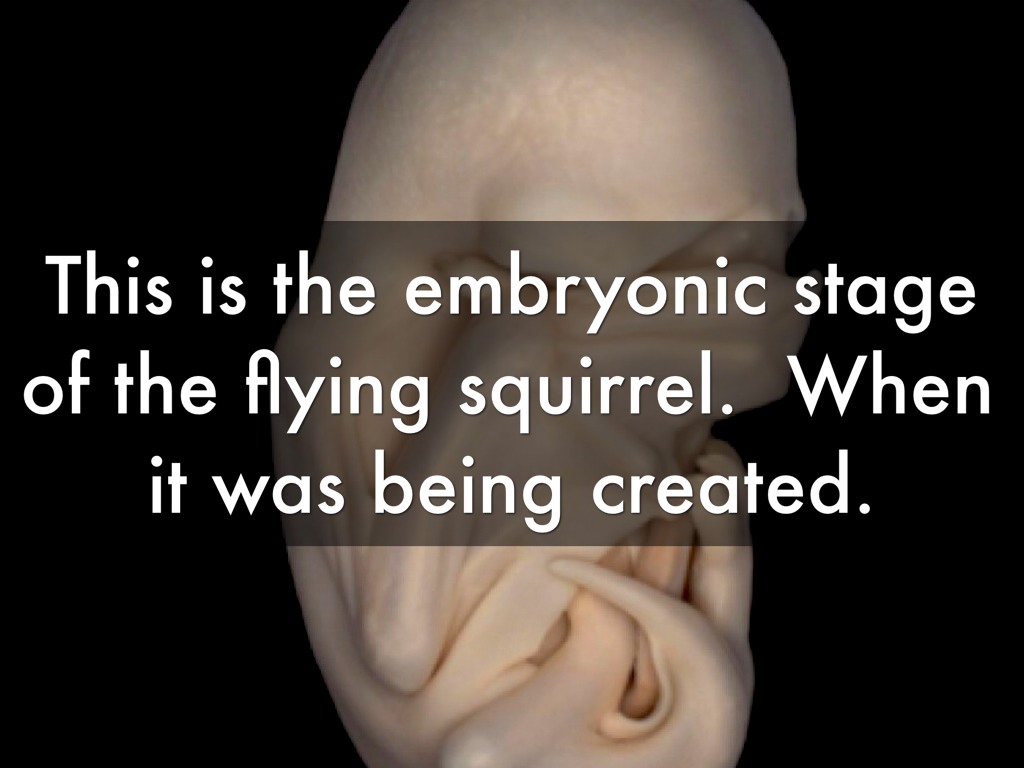 Bio Project by kgent207