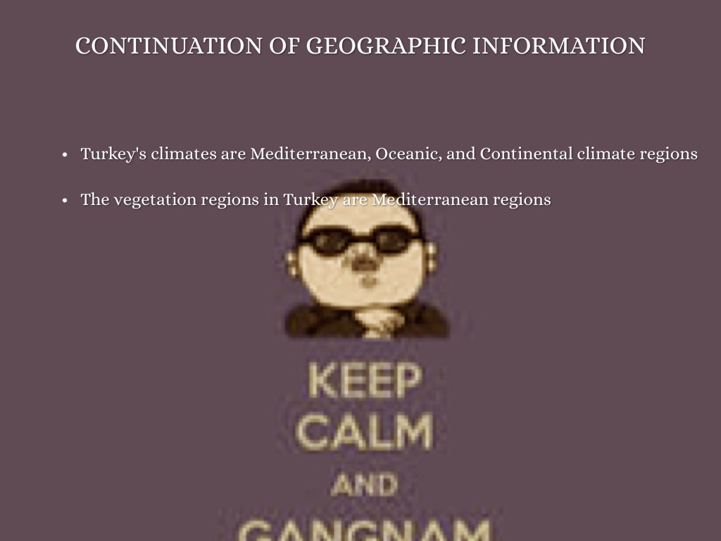 Middle East Unit Project by Nate Bostic