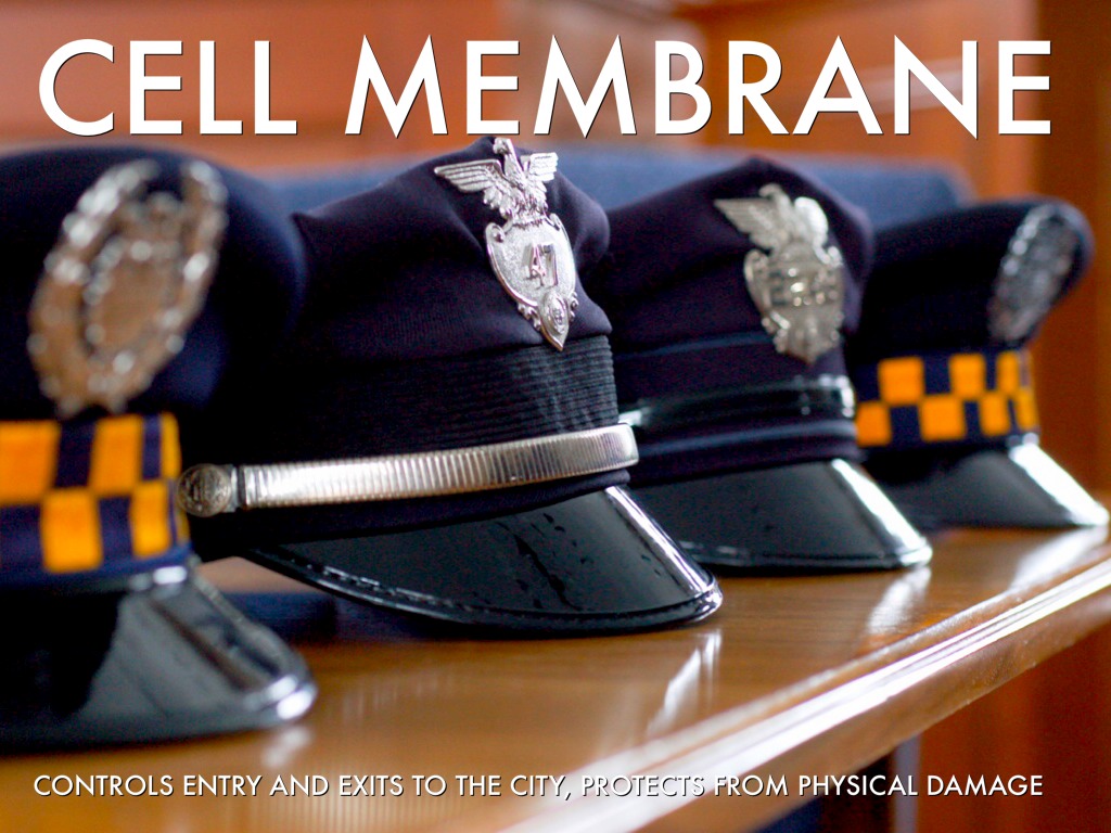 Salem Easton Period 2 by Chloe Salem