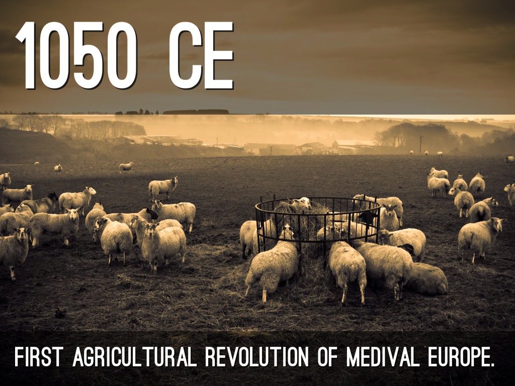 Timeline Activity by Aidan Robicheaux