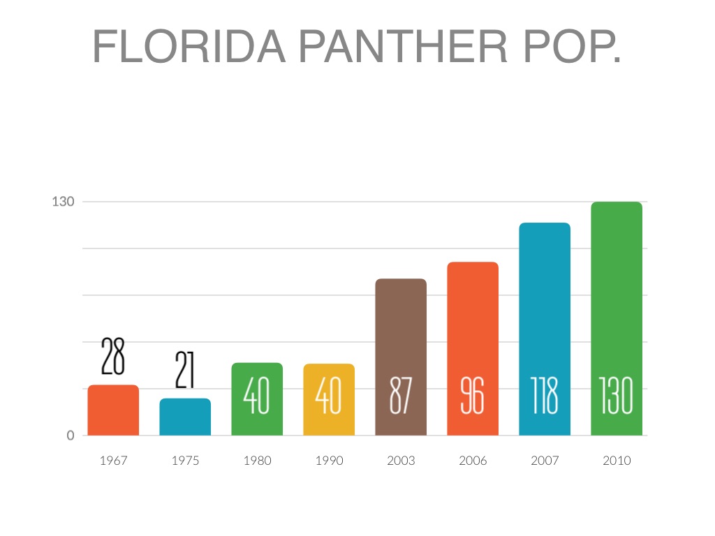 Florida Panthers by William S