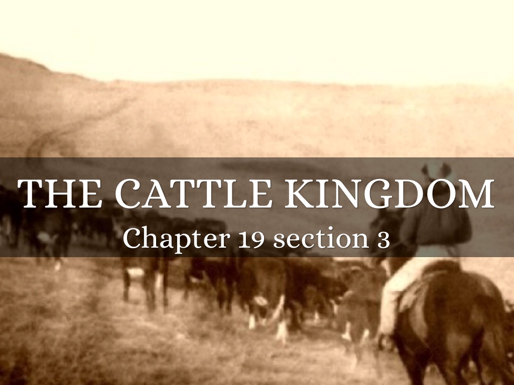 History by Carly Mancinone