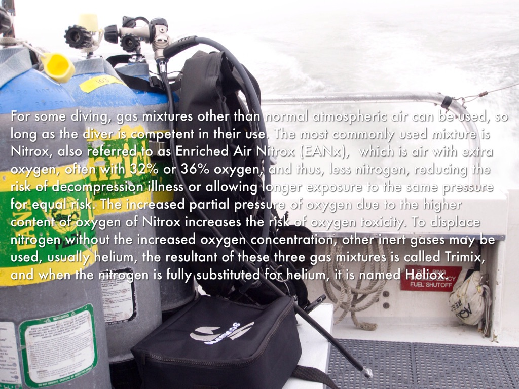 Scuba Diving by Callum Grant