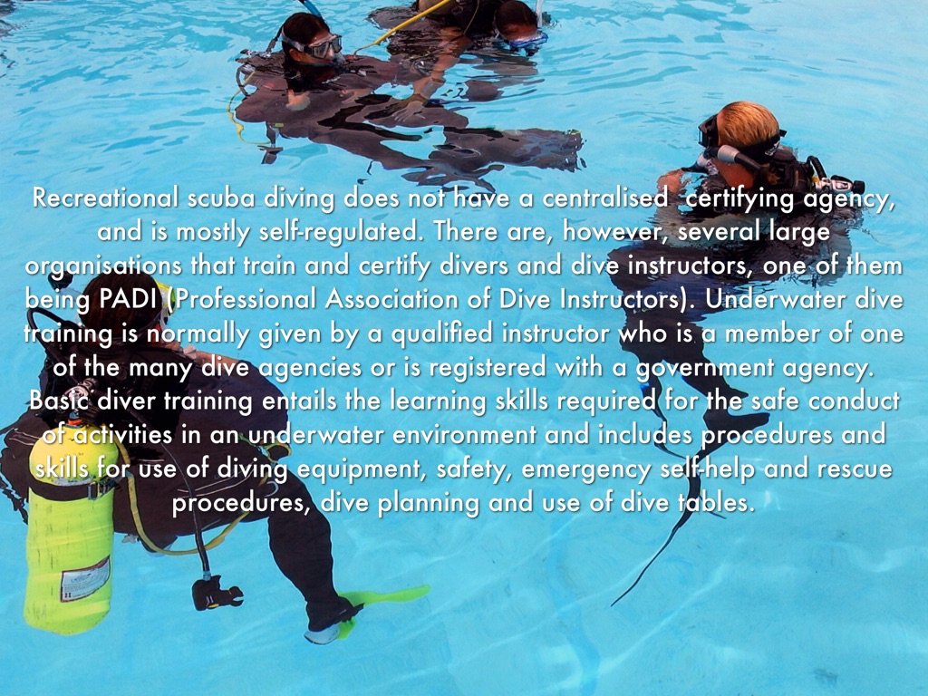 Scuba Diving by Callum Grant