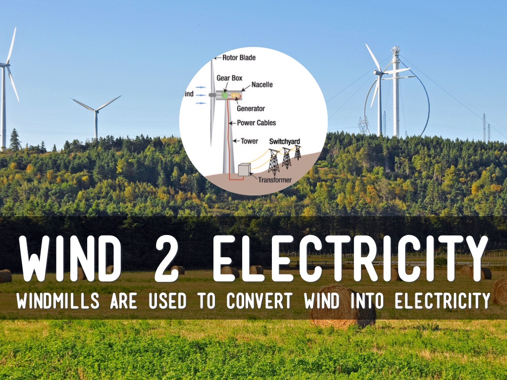 Abby Cashion by Tyler Musick