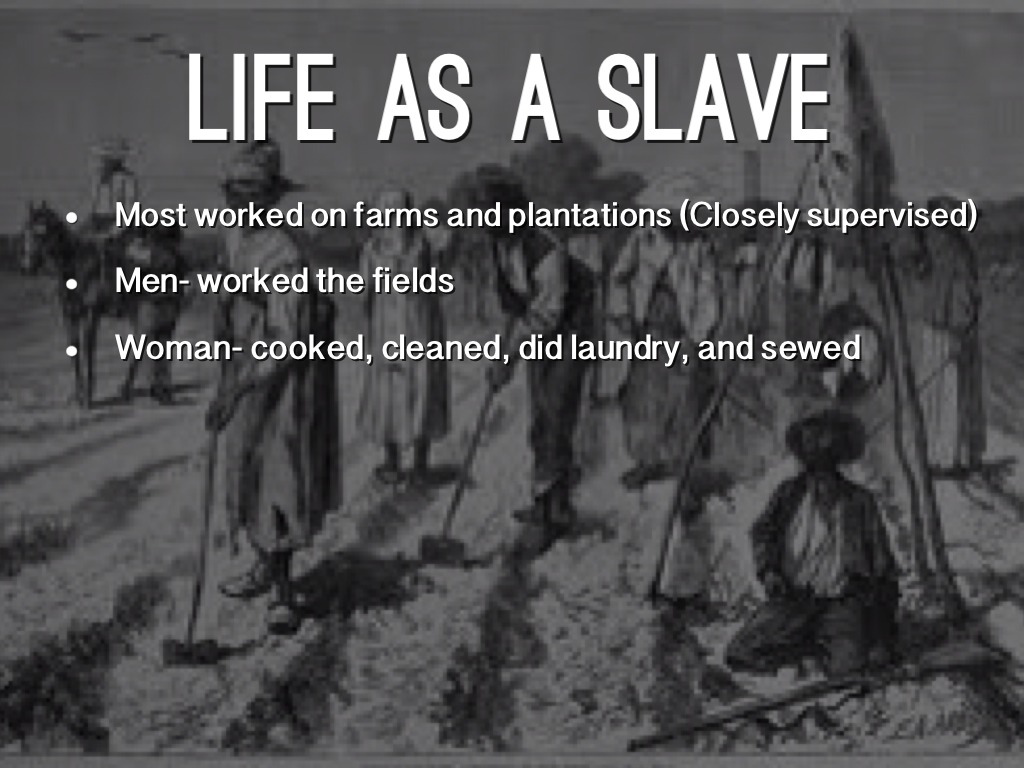 Life In The Early Americas by Amanda Coelho