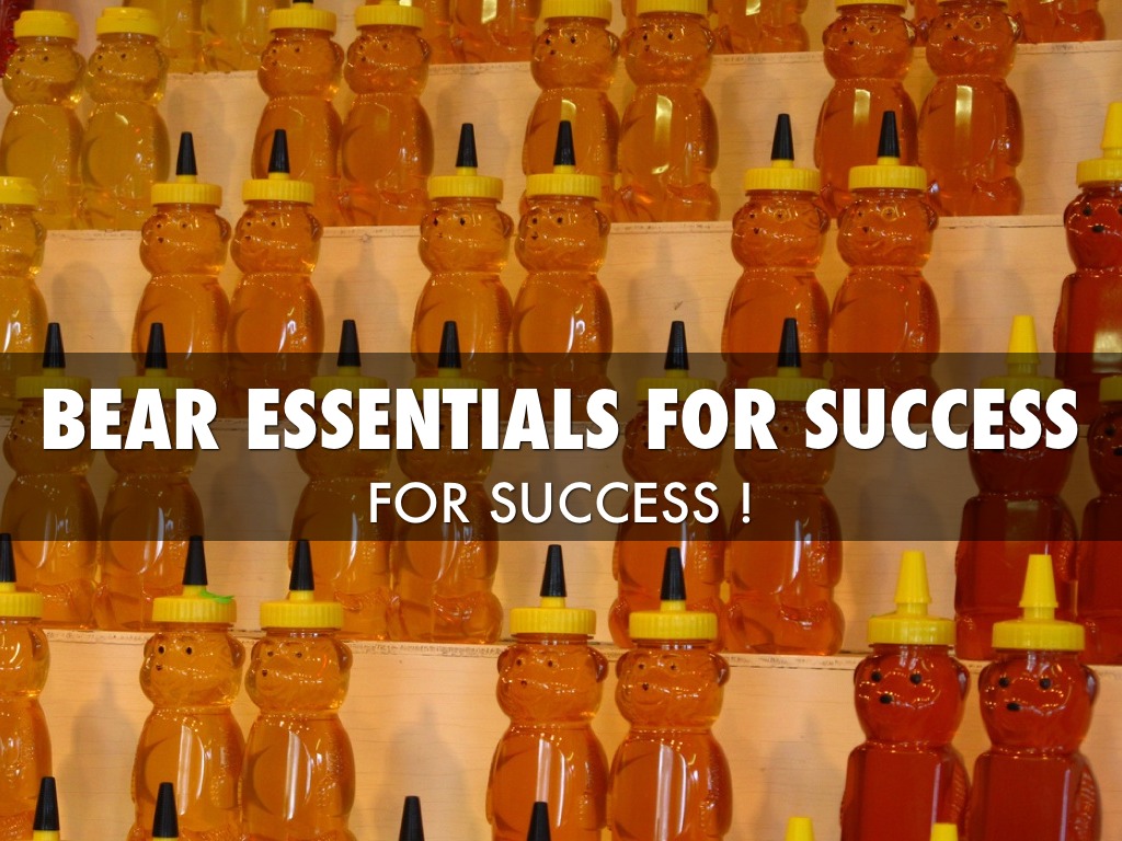 Bear Essentials For Success by Dr. Bertha Richardson