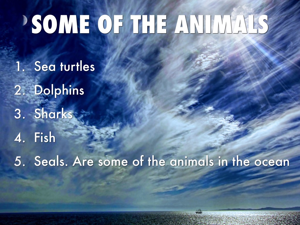 People do not sometimes think about the ocean. They