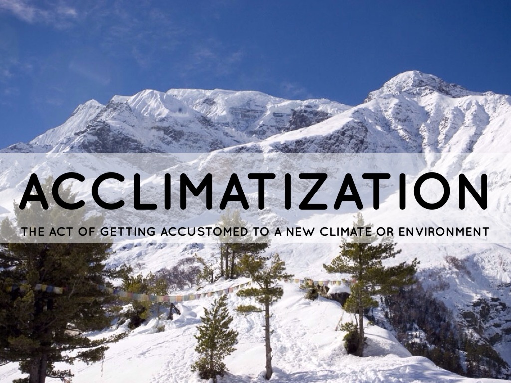 Copy of Vocab 12 by madisont_ausley