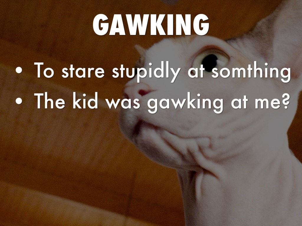 H And G by salazarc7