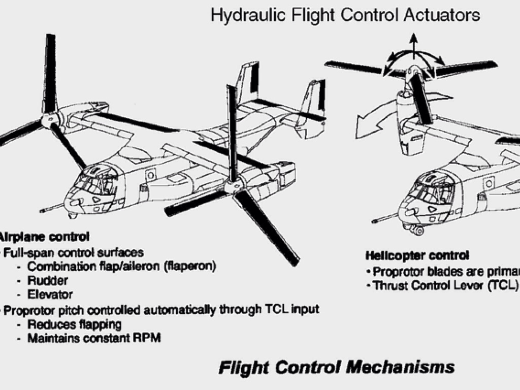 OSPREY by Matt Anderson Hushpuppy