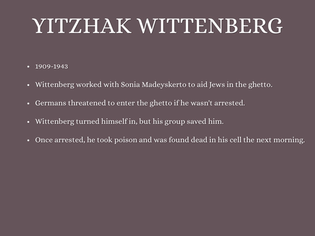 Vilna Partisans by Anne Hirlinger