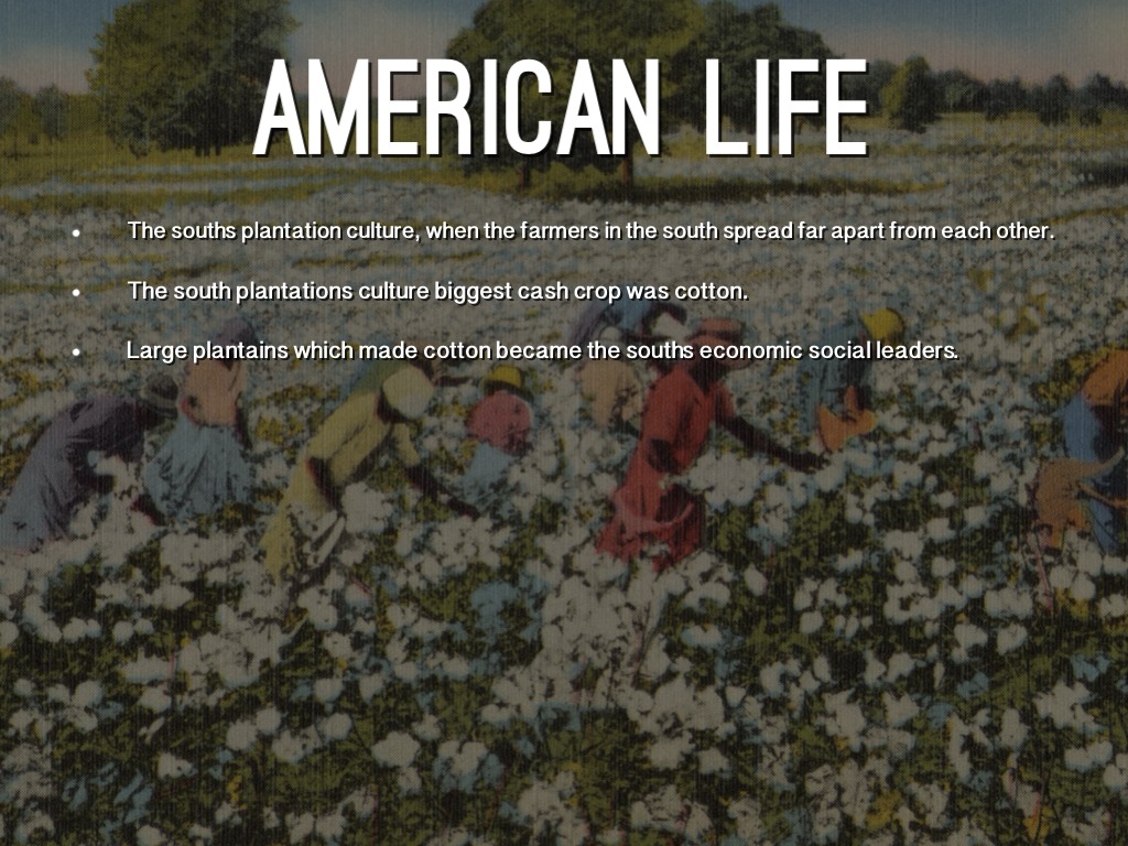 How America Grew by stevieformica