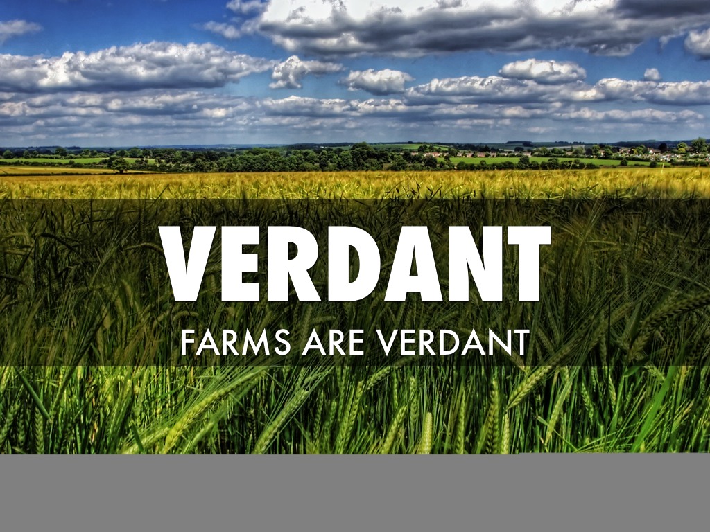 Quarter 1 Vocab by Craig Craig