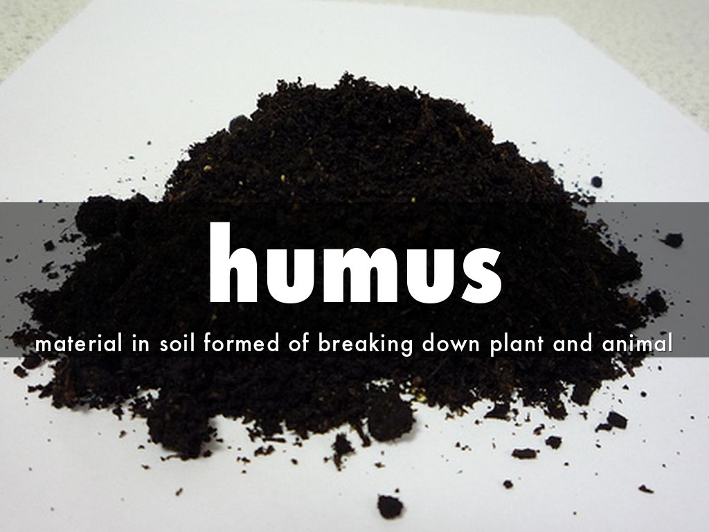 CH 8 science by rtodd