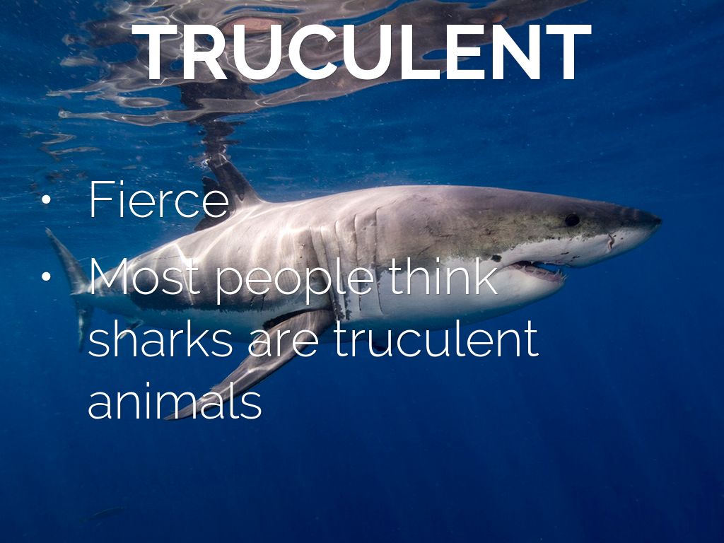 Copy of 1st 6 Weeks Vocabulary Project by Luke Cordova