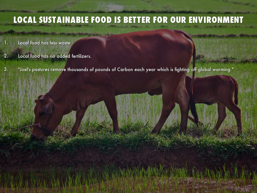 Local Food by mgates