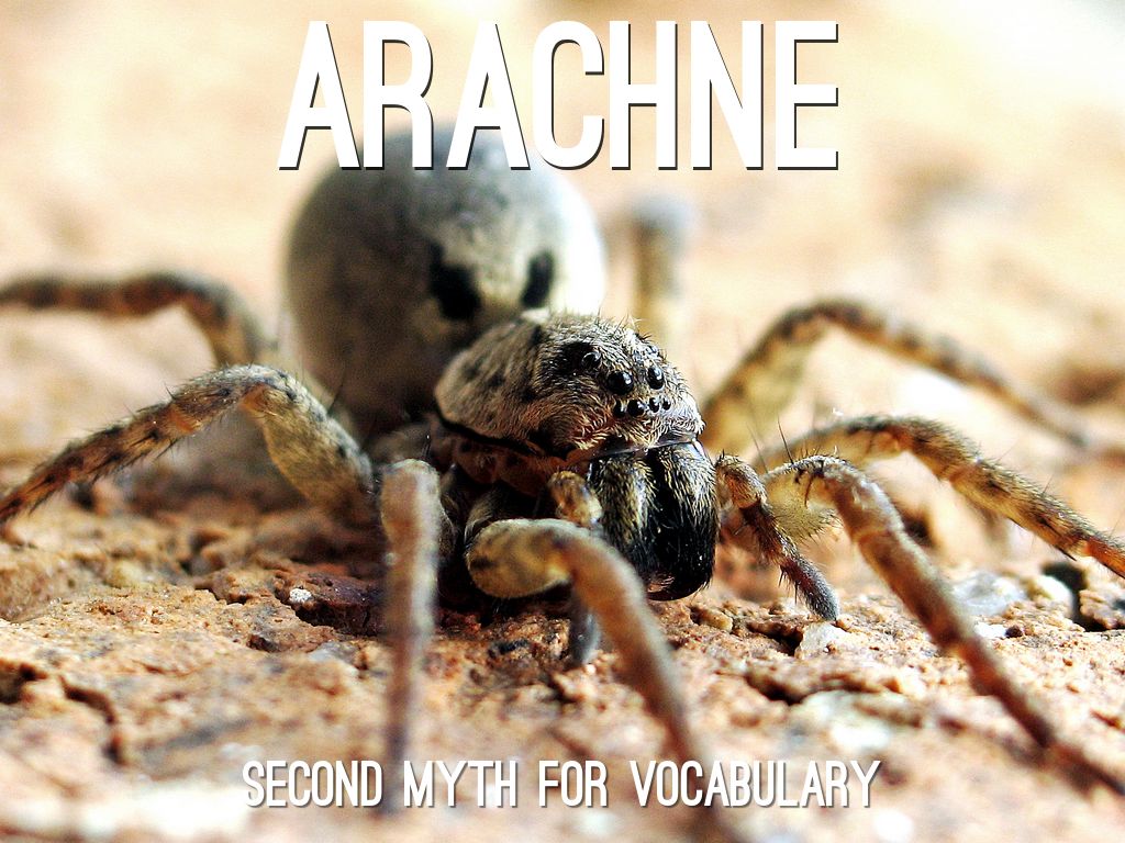 Vocabulary for Mythology by Cadence Davis