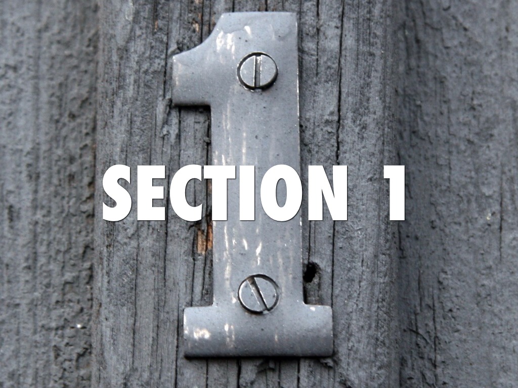 What Is Health? by Joey Head