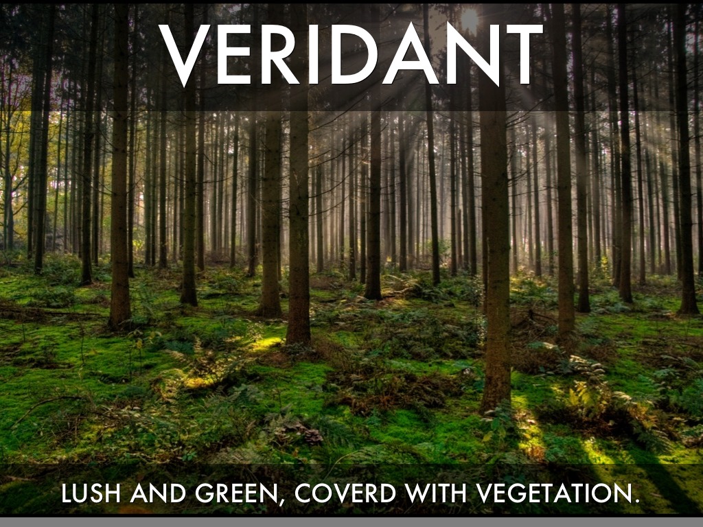 Vocabulary Words by Loren Latts