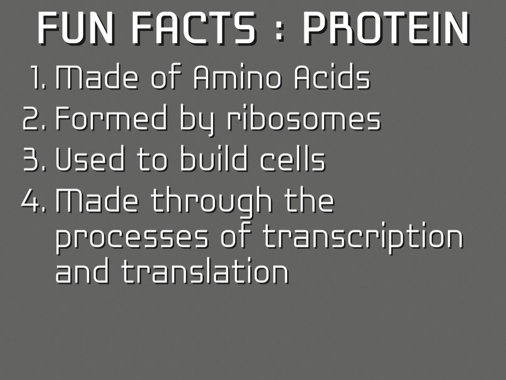 Protein Synthesis by Seth Musick