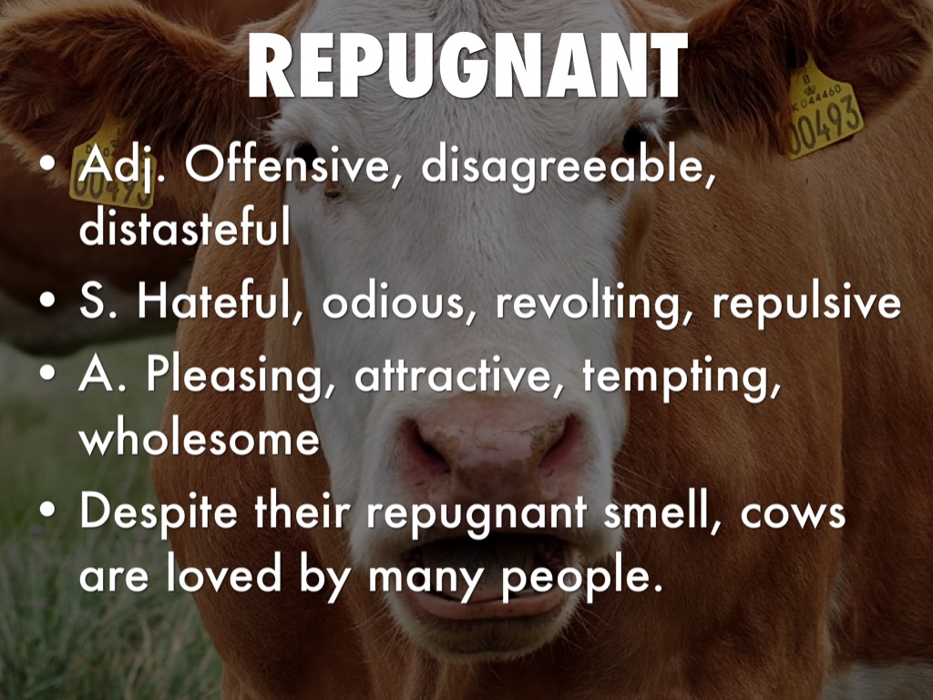 Unit 9 by George DiFilippo