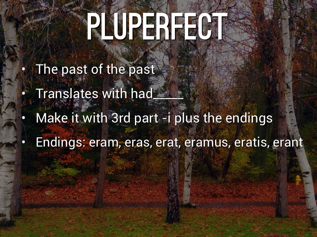 Perfect/Plu. Perfect by hrussell2018