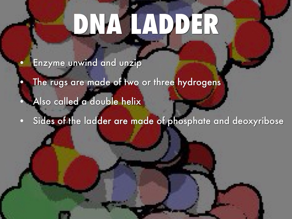 What Is Haiku Deck? by Ivy Rowley